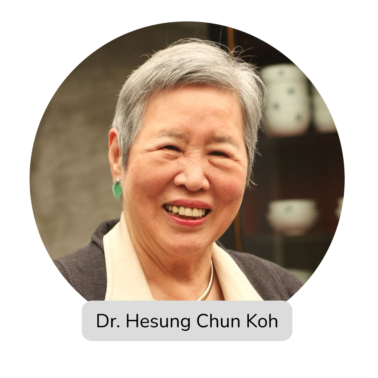 The Cross-Cultural Journey of Dr. Hesung Chun Koh - GlobalAgeing